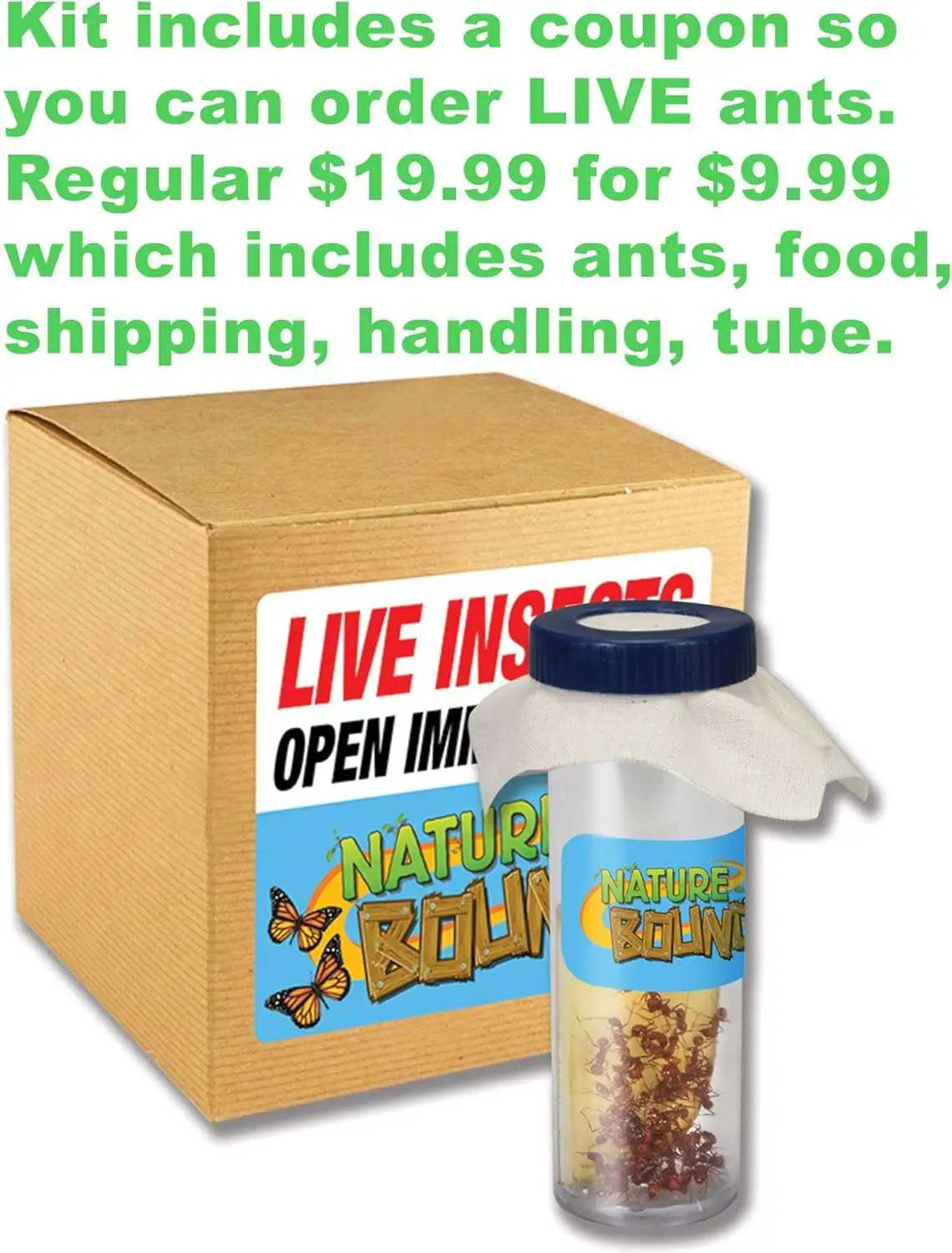 Nature Bound Ant Treehouse Thin Air Brands - ToyWiz