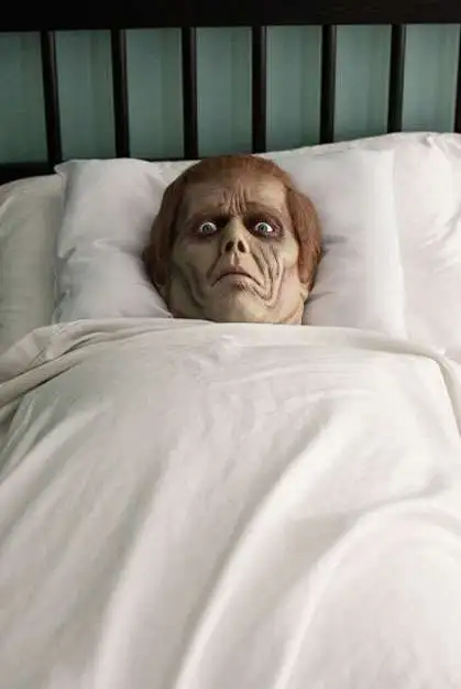 Dawn of the Dead Rodger Pillow Pal Prop Trick or Treat Studios - ToyWiz